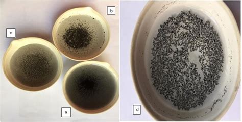 Simple Water Dispersibility Test Of A Burnt Sample B Pva