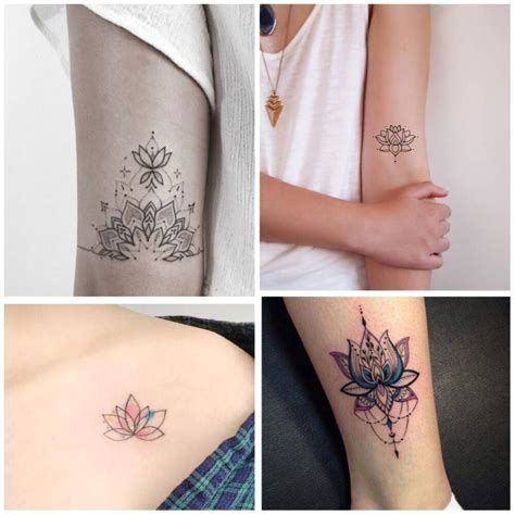Tatuaje De Una Flor De Loto Fotos