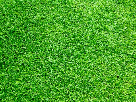 4k Grass Wallpapers Wallpaper Cave