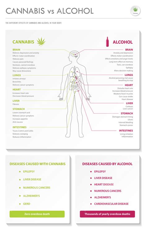 Cannabis Vs Alcohol Vertical Business Infographic Illustration About