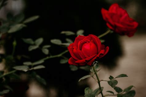 GitHub Skltoha Photography Photography