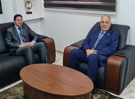 مستشار الأمن القومي يطلع رئيس لجنة الشؤون الخارجية بمجلس النواب على