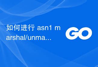 如何進行 asn1 marshal unmarshal 並省略字段 Golang PHP中文網