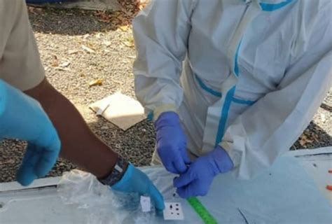 Los Santos confirma primer caso de Hantavirus de este año Día a Día