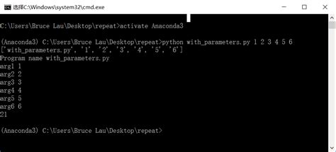 170520 cmd 下带参数执行python 文件 cmd sys argv 文件名 csdn博客