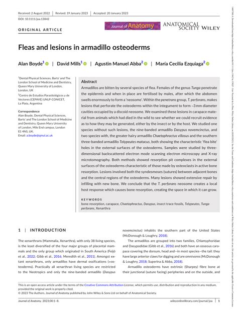 Pdf Fleas And Lesions In Armadillo Osteoderms