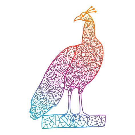 Premium Vector Beautiful Ornamental Mandala Peacock Illustration