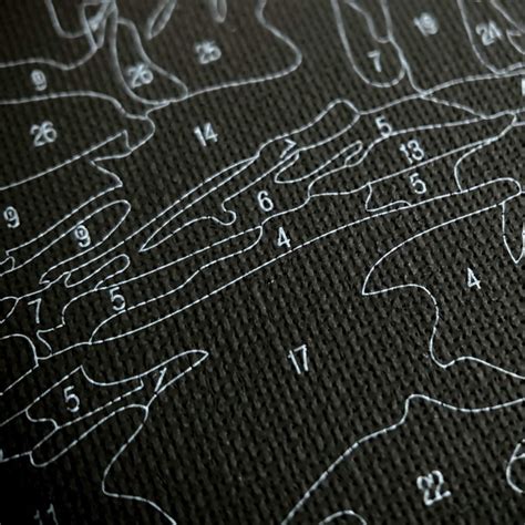 Malowanie Po Numerach Czarne Płótno Zestaw Leopard i Piwonie x Malowanie po Numerach