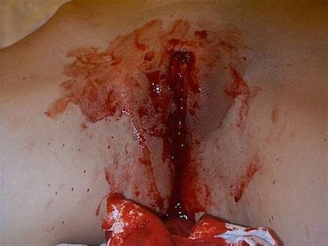 Master4pigslave Tumblr Tumbex