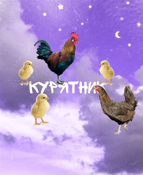 Ава для беседы класса КУРЯТНИК Смешные коровы Книжные стенды