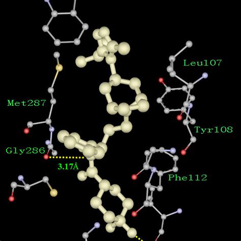 Detailed Interactions Of Maraviroc A And 2j B With The Binding