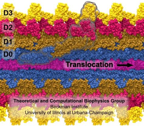 Namd High Performance Simulation Of Large Biomolecular Systems