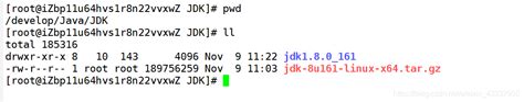 Centos 配置jdk，添加环境变量etcprofile和etcprofiledcentos Profile Csdn博客