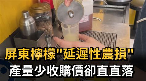 屏東檸檬「延遲性農損」 產量少收購價卻直直落－民視新聞 Youtube