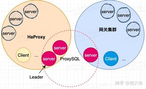 记一次nomad故障分析 知乎