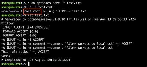 Shielder A Journey From Sudo Iptables To Local Privilege Escalation