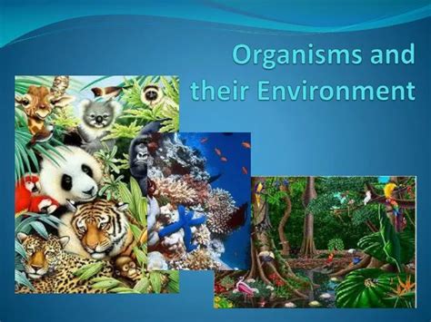 Ppt Organisms And Their Environment Powerpoint Presentation Free