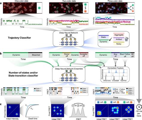 Dr Simon Wanninger On Linkedin Deep Lasi Deep Learning Assisted