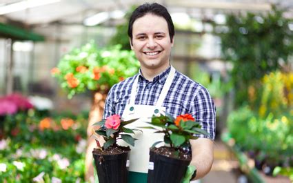 Tree Surgeons Taking All The Women The Daily Mash