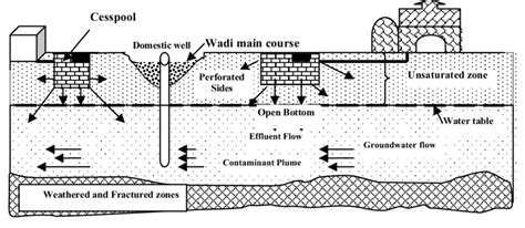 Conceptual Model Of Contaminant Flow From The Cesspool To The