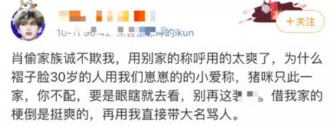 把顶流爱豆卷入battle的“猪咪”到底是什么？蔡徐坤肖战新浪新闻