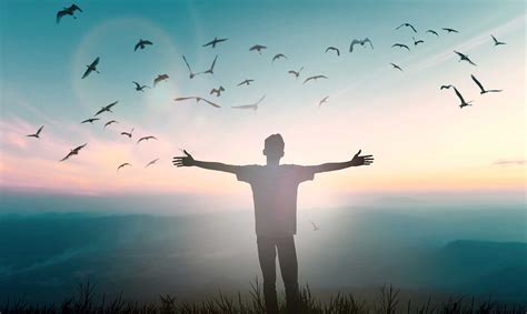 Cameron Macaulay Un Curioso Caso De Reencarnación