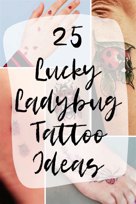 21 Cute Owl Tattoo Ideas With Deeper Meaning Tattoo Glee
