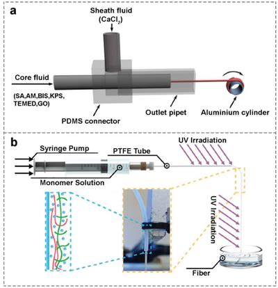 Schematic Diagram Of Microfluidic Spinning For Fabricating Chfs A The