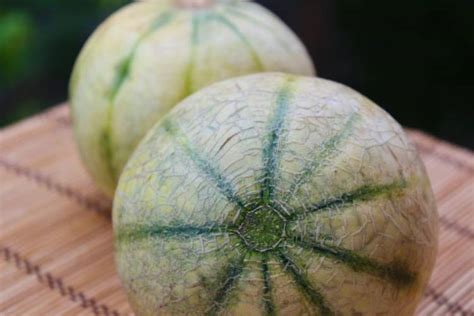 Perbedaan Melon Hijau Dan Kuning Dari Warna Hingga Tekstur Idn Times