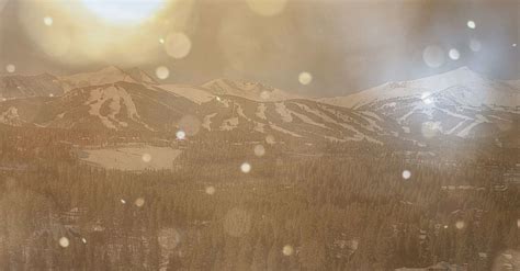 Trackcore Inc The Industry Leading Implant Vendor Medtronic Has