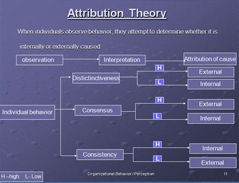 Be An Expert Perception Consumer Behavior Context