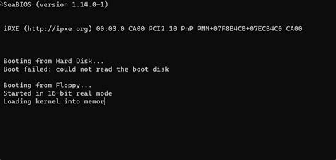 13 Kernel Barebones Kernel X Doesnt Get Printed · Issue 208