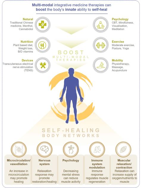 Self Healing And Multi Modal Integrative Medicine Download Scientific Diagram