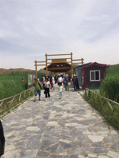 未命名标题 青铜峡旅游攻略 游记 去哪儿攻略