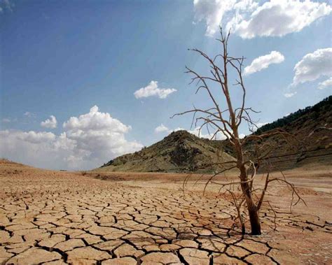 Desertification Causes Consequences And How To Prevent Its Advance