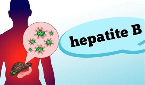 HEPATITE B sintomas fases contaminação e prevenção Rondônia Repórter