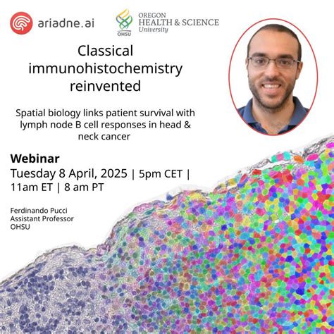 Cancer Spatialbiology Immunohistochemistry Patientsurvival Immunology Dr Lucas Schütz