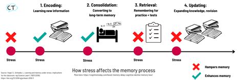 10 Easy Tips To Boost Memory And Delay Cognitive Decline Reviewed