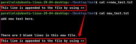 【linux】实验报告2 linux基础命令 linux常用命令实训报告 csdn博客