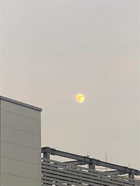 【限られた枠はやっぱりあって】 その枠に入れないと寂しかったり悔しかったり、どうしても生きている限りはそういった「枠」が存在していると感じる