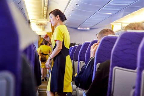 항공 Nokscoot 승객 좌석과 통로에서 노란색 유니폼에 스튜 어디 스와 비행기의 인테리어 공항에 대한 스톡 사진 및 기타 이미지 Istock