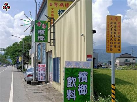 檳榔還有4萬公頃 農委會預告「新種植未來不可加農保」 生活 中時