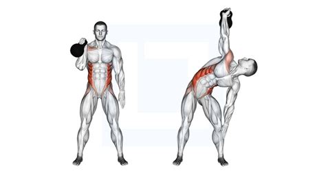 Barbell Seated Overhead Press Guide Benefits And Form