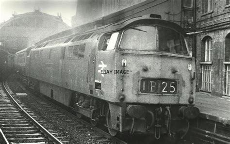 Photo Class 52 Western No D1005 Western Venturer In Br Blue Livery With
