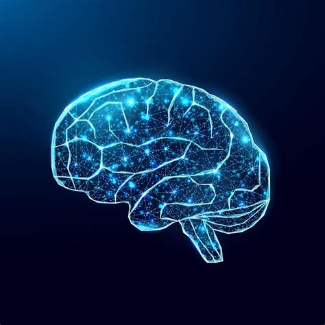 Human Brain Wireframe Low Poly Style Concept For Medical Brain