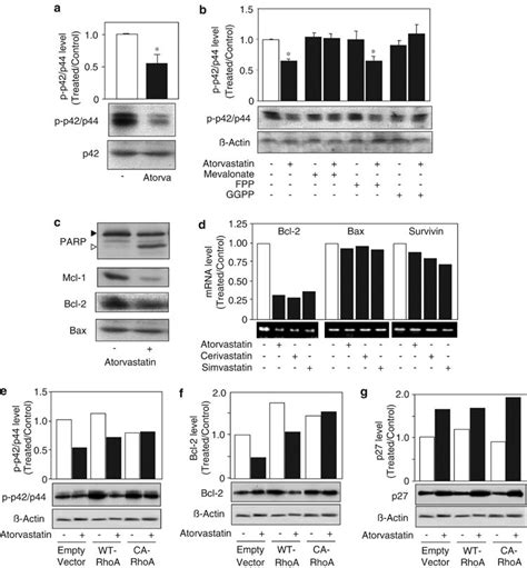 Rhoa Inactivation Induces Osteosarcoma Cell Apoptosis By Reducing