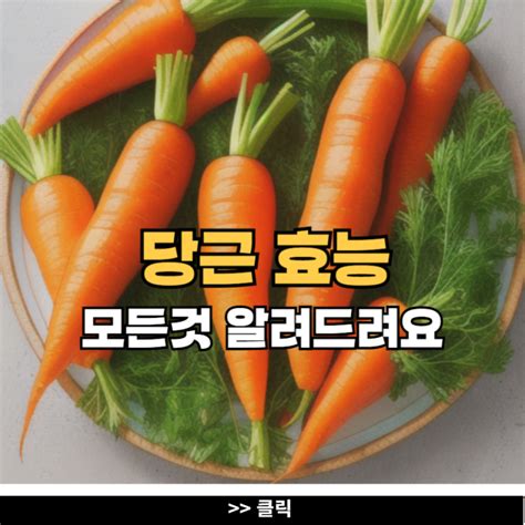 당근 효능 부작용 생당근 효능 네이버 블로그