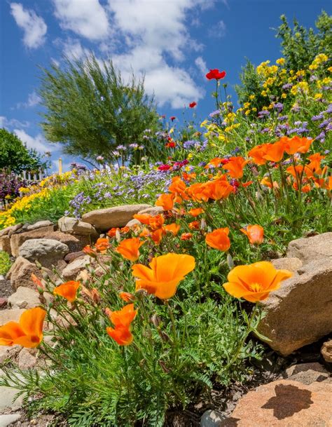 A Complete Guide To 11 High Potassium Fertilizers To Use