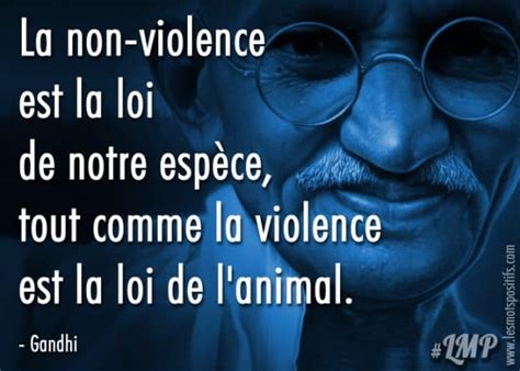 Citation Sur Gandhi Citation Sur La Vie Les Mots Positifs