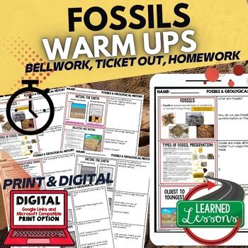 Fossils Geological Timelines Warm Ups Bell Ringers NGSS 6 8